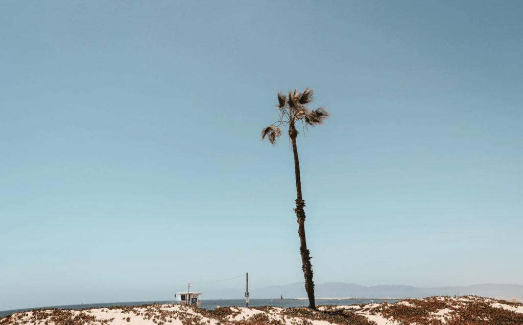 4 Historical Facts You Didn't Know About Playa del Rey | Bill Ruane